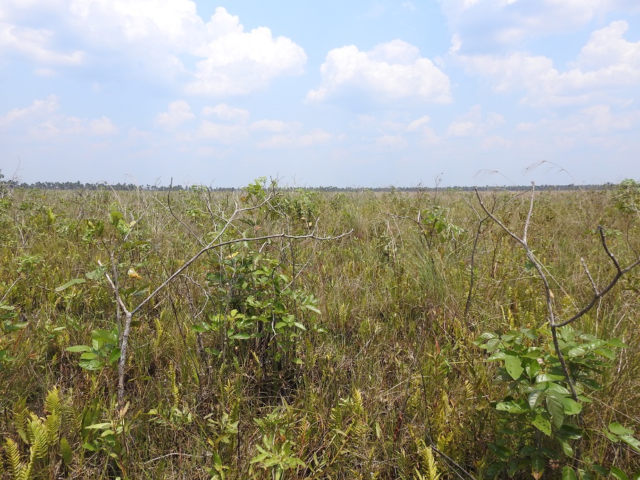 Arranca la expedición científica a los ríos Yata, Biata y Benecito ...