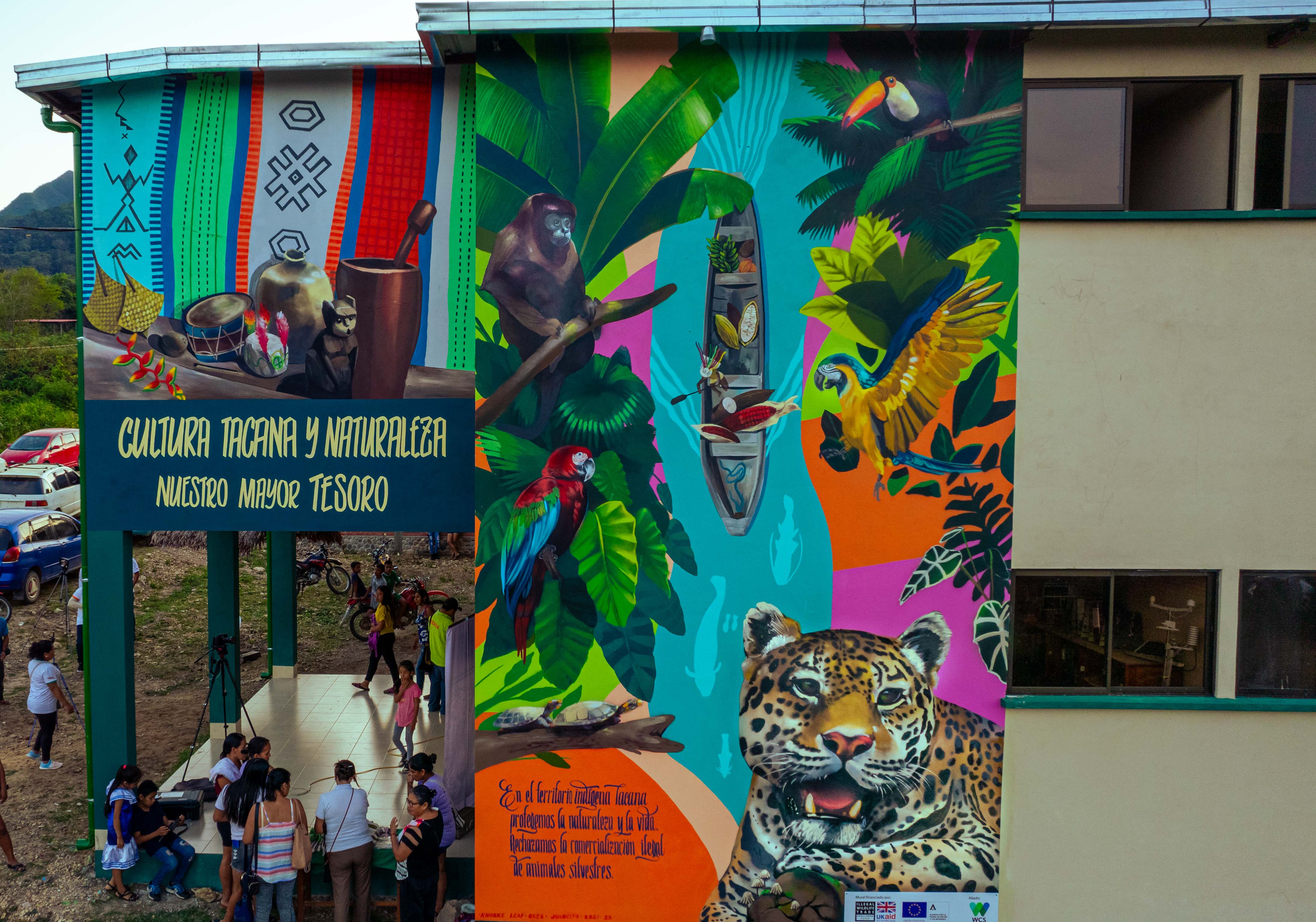 Destacando la cultura tacana y sus esfuerzos por combatir el tráfico de ...