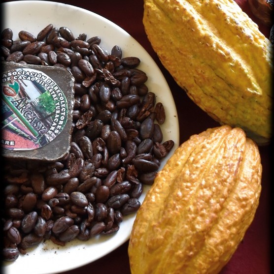 Importante evento contribuye a potenciar el cacao y chocolate ...